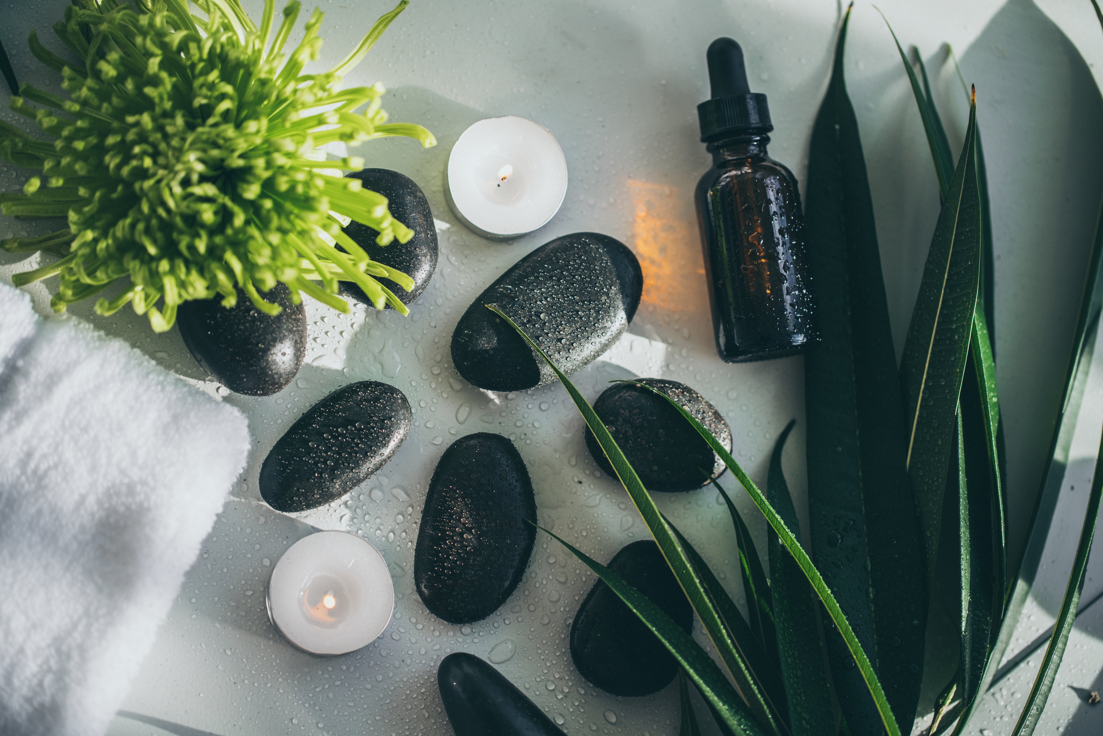 Natural Herbal Medicine for Supporting Tao Vitality Treatment Protocol